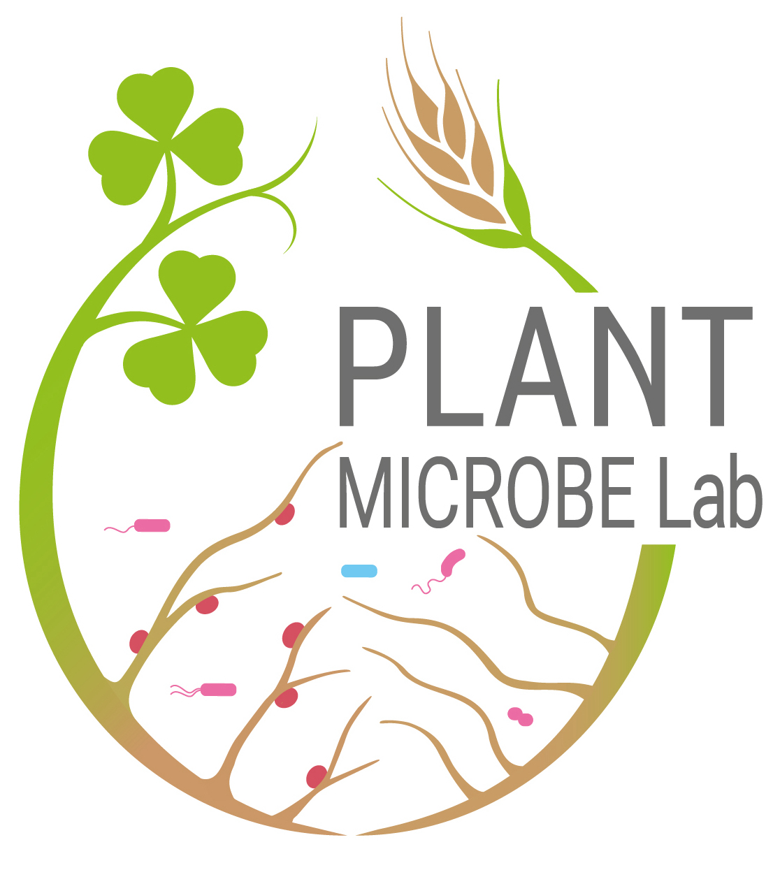Home - Plant-Microbe Lab